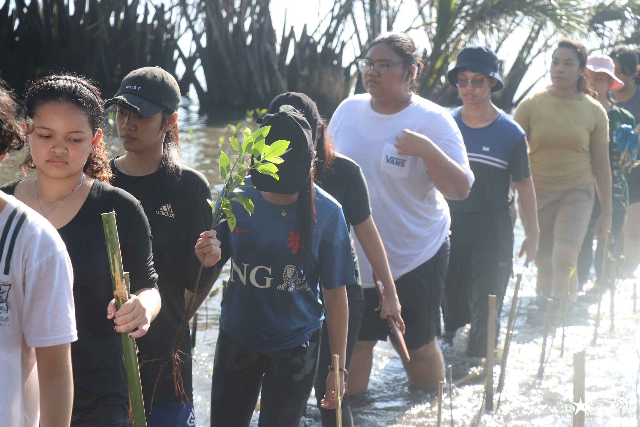 Mangrove Planting of Grade 12 Students conducted in Clarin, Mis. Occ ...