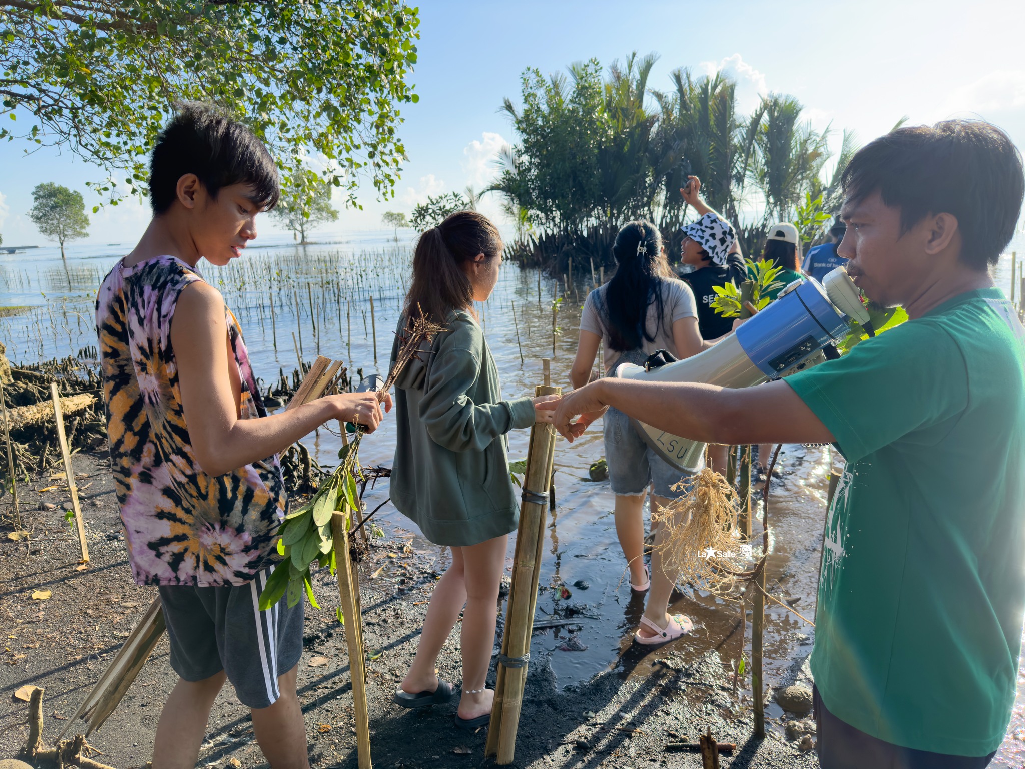 Mangrove Planting of Grade 12 Students conducted in Clarin, Mis. Occ ...